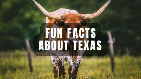 12 Texas Fun Facts You Didn't Know