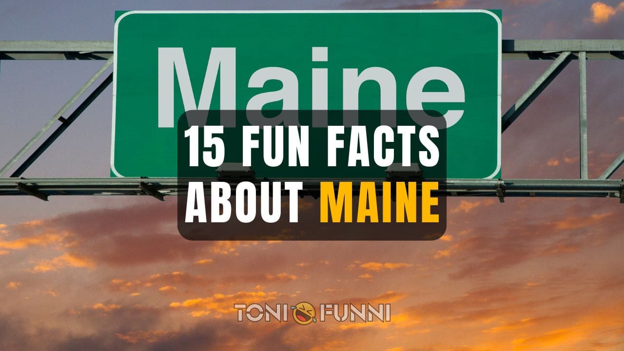 15 Fun Facts About Maine