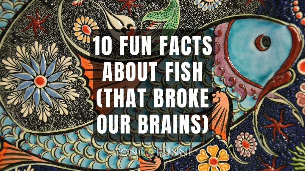 10 Fun Facts About Fish (That Broke Our Brains)