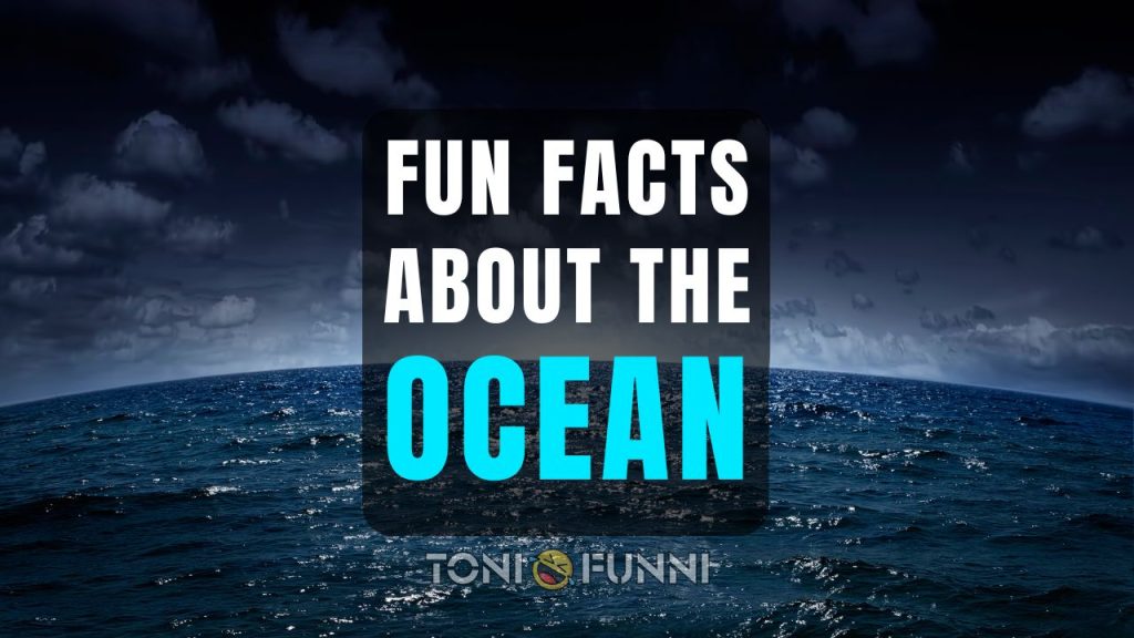 Fun Facts About the Ocean: Deep, Weird & Wild Truths